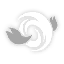 Toluwa's HSR Character Showcase | Enka.Network